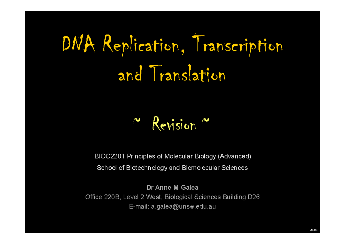DNA Replication, Transcription, Translation Revision Activities - DNA ...