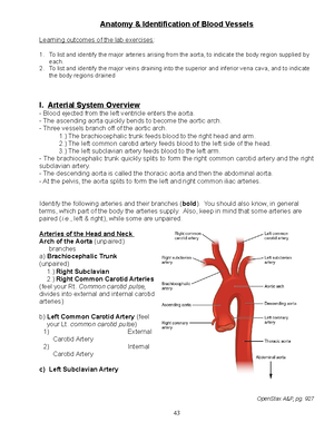 [Solved] trace the path of blood through the heart naming chambers ...