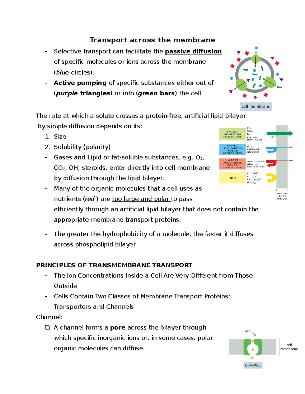 Transport across the membrane summary - Transport across the membrane ...