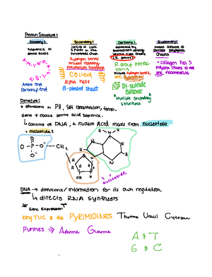 Chapter 12,16 - Textbook notes from Campbell Biology - BIO 111 - Studocu