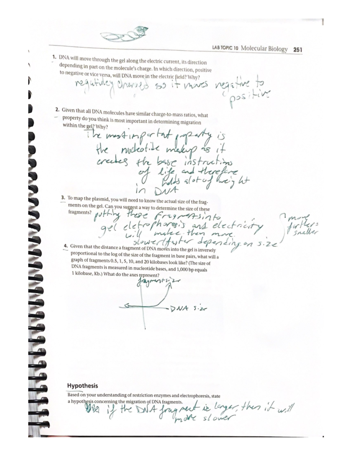 LAB Topic 10 Molecular Biology 251 - BIO 141 - Studocu