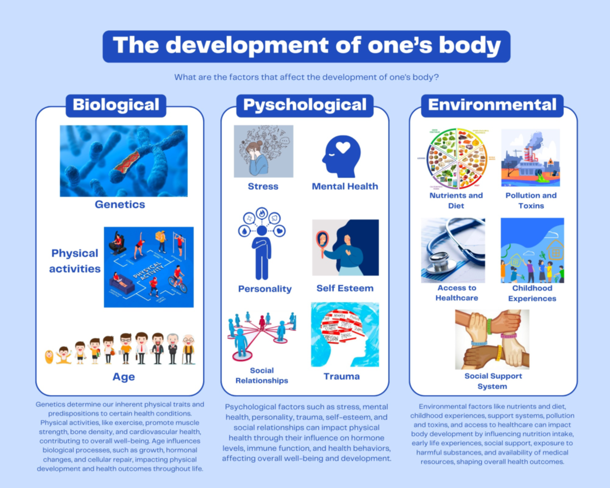Geuself AS2 - The development of body What are the factors that affect ...