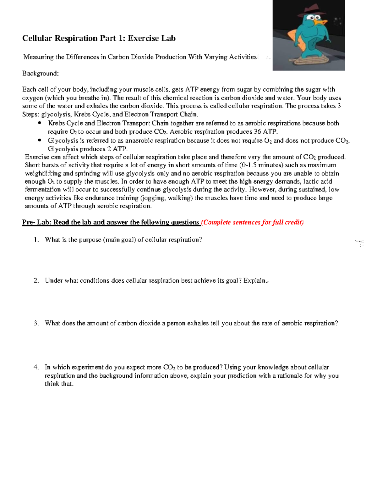 Cellular Respiration Lab - Cellular Respiration Part 1: Exercise Lab ...