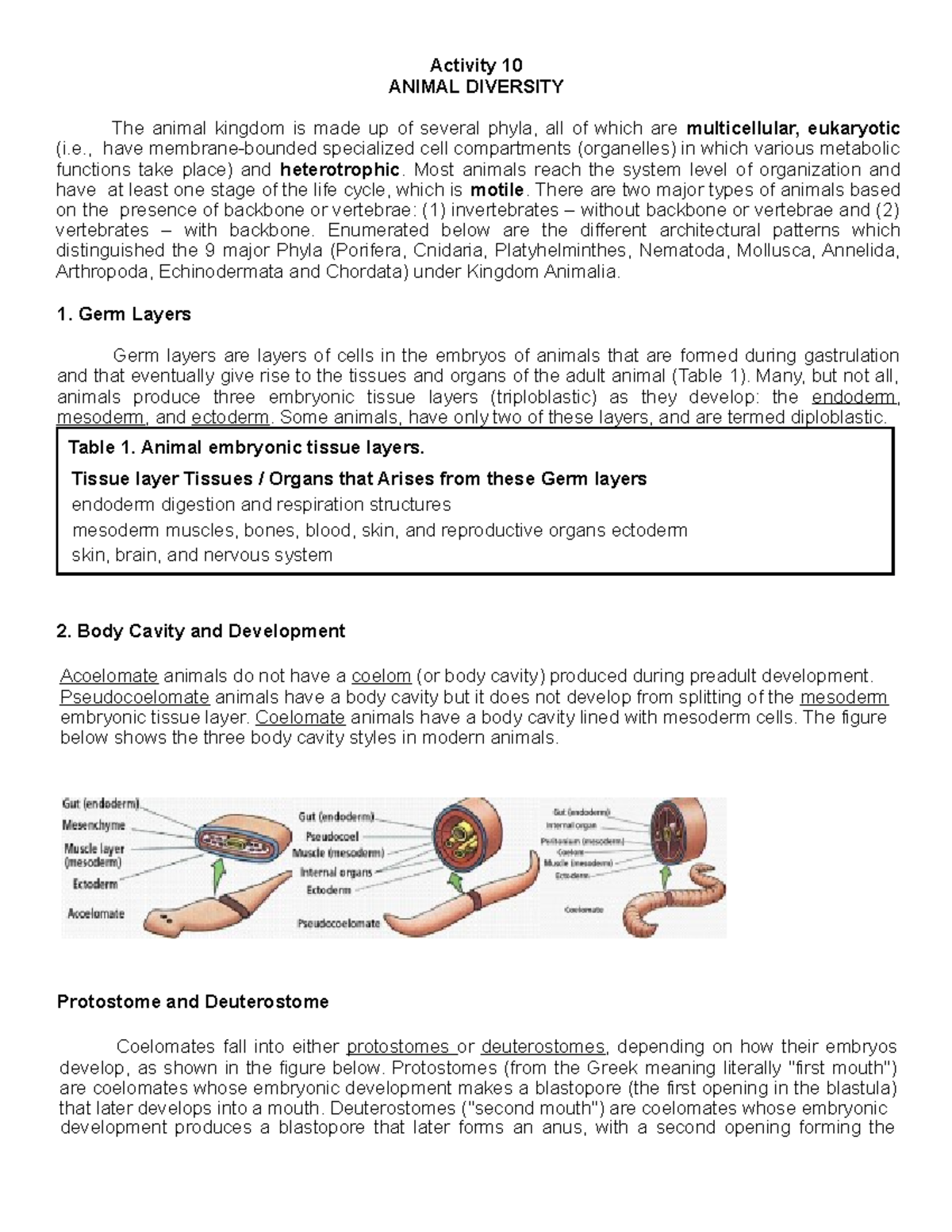 Activity 10 - Groupwork - Activity 10 ANIMAL DIVERSITY The animal ...