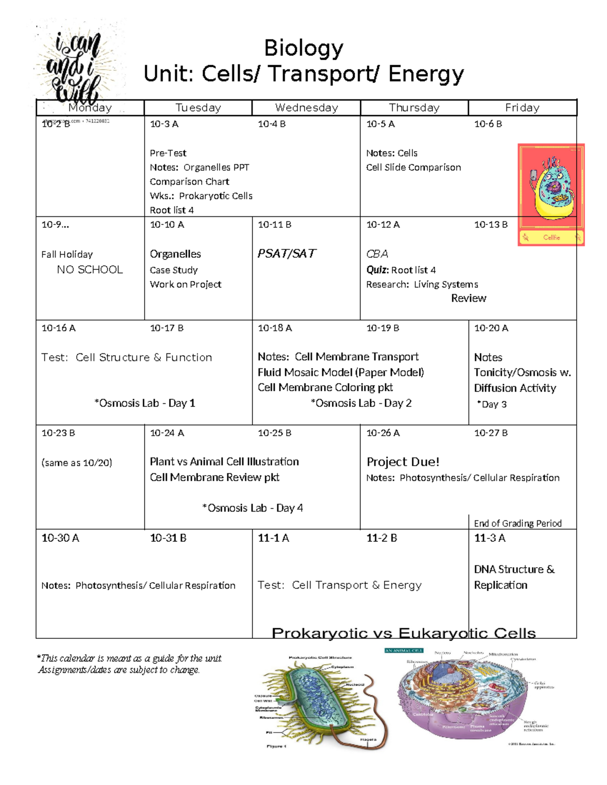 Cell unit Calendar 23-24 - Biology Unit: Cells/ Transport/ Energy ...
