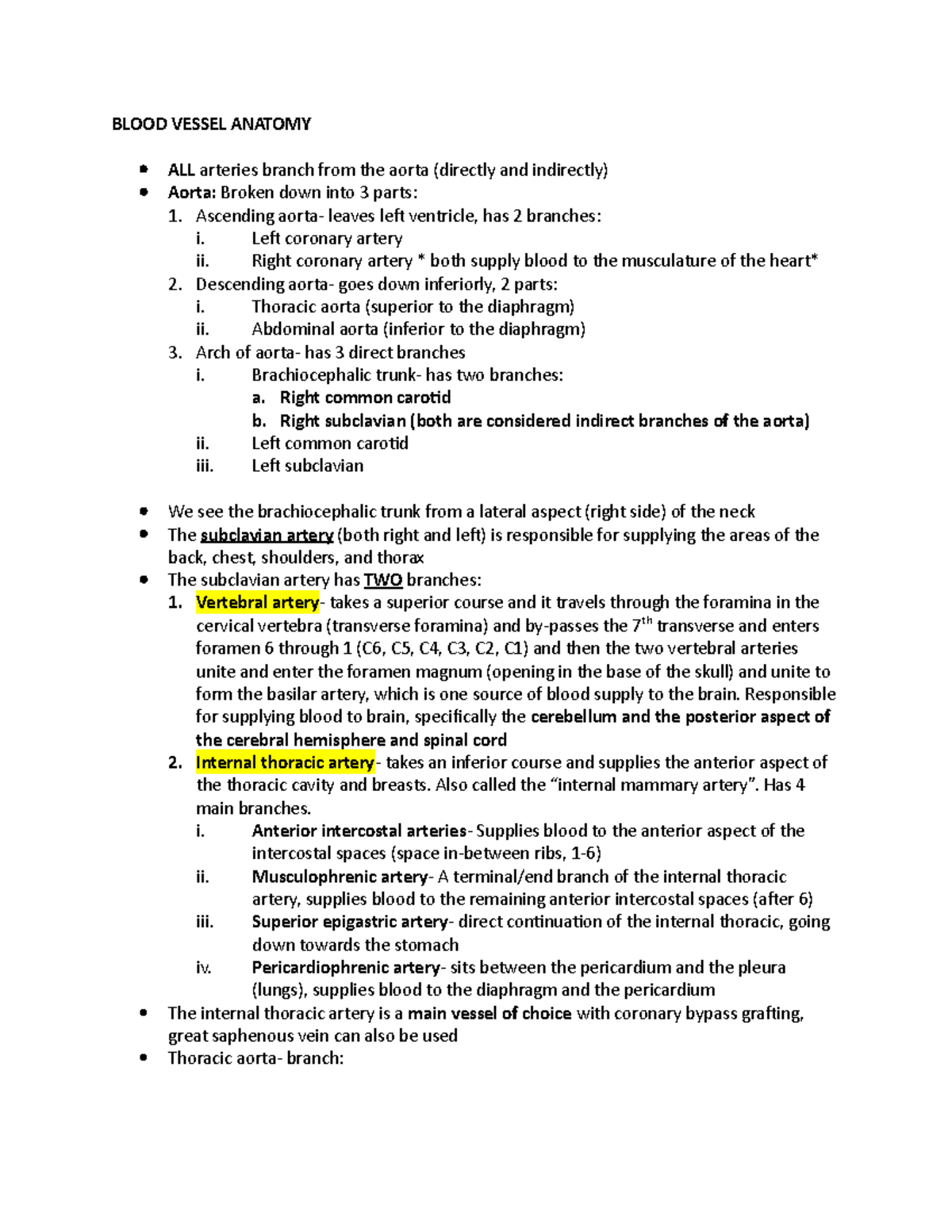 Blood Vessel Anatomy - BLOOD VESSEL ANATOMY ALL arteries branch from ...