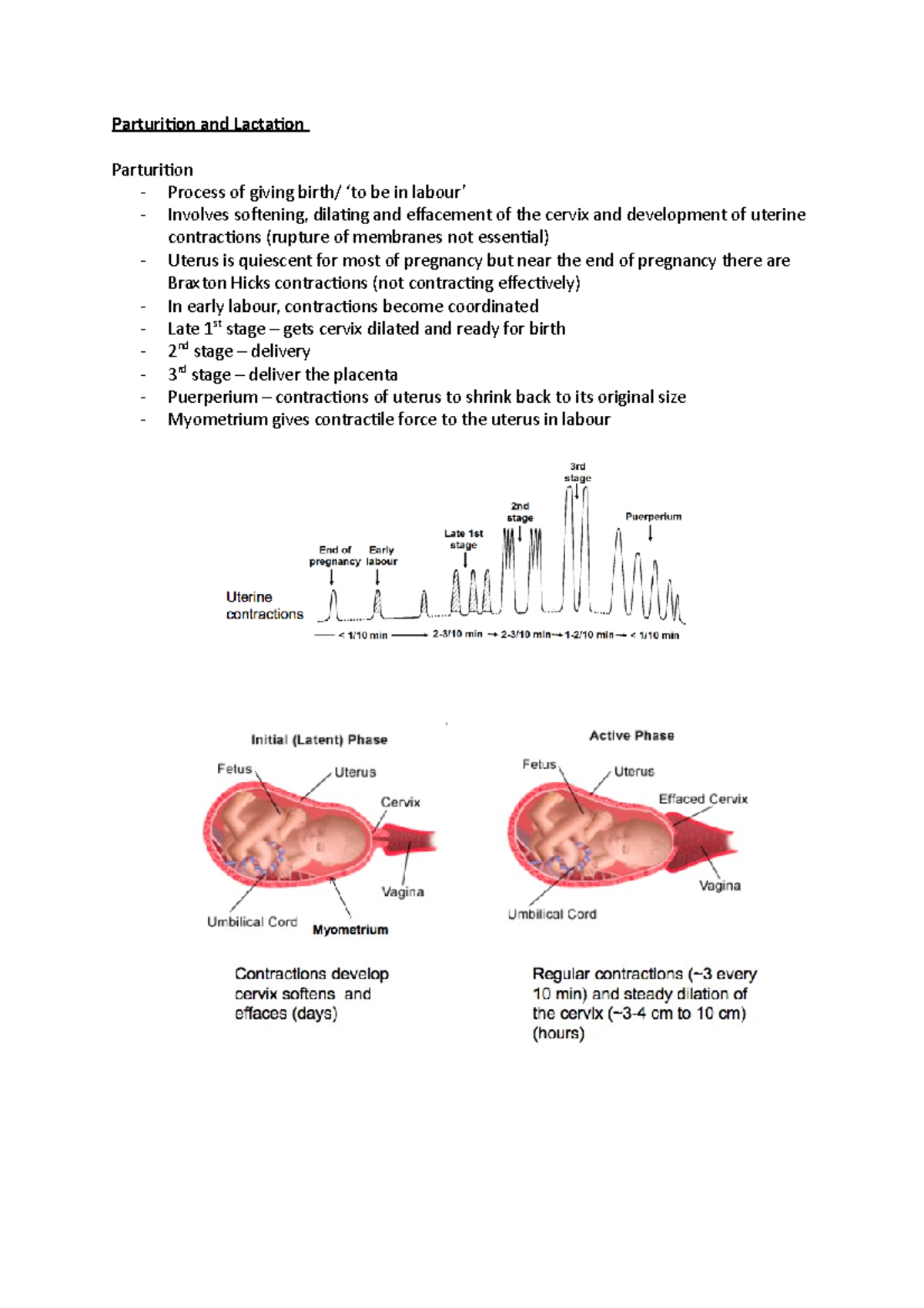 Human Development W4 Parturition and Lactation - Parturition and ...