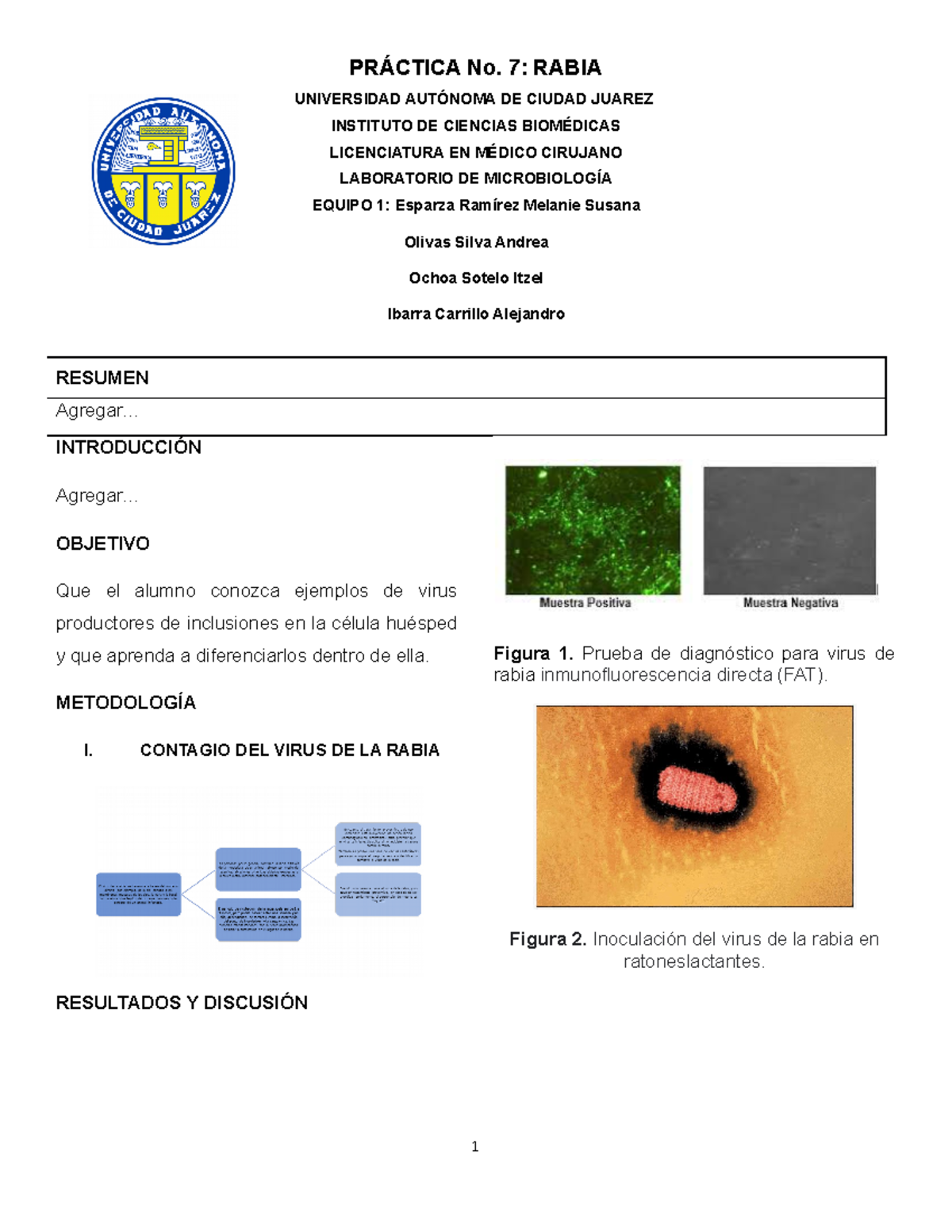 Rabia - PRÁCTICA No. 7: RABIA UNIVERSIDAD AUTÓNOMA DE CIUDAD JUAREZ ...