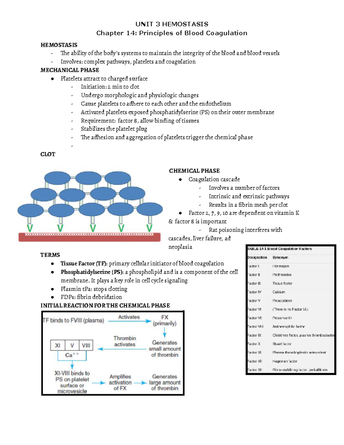 Unit 3 Hemostasis Ch 14 Principal of Blood - UNIT 3 HEMOSTASIS Chapter ...
