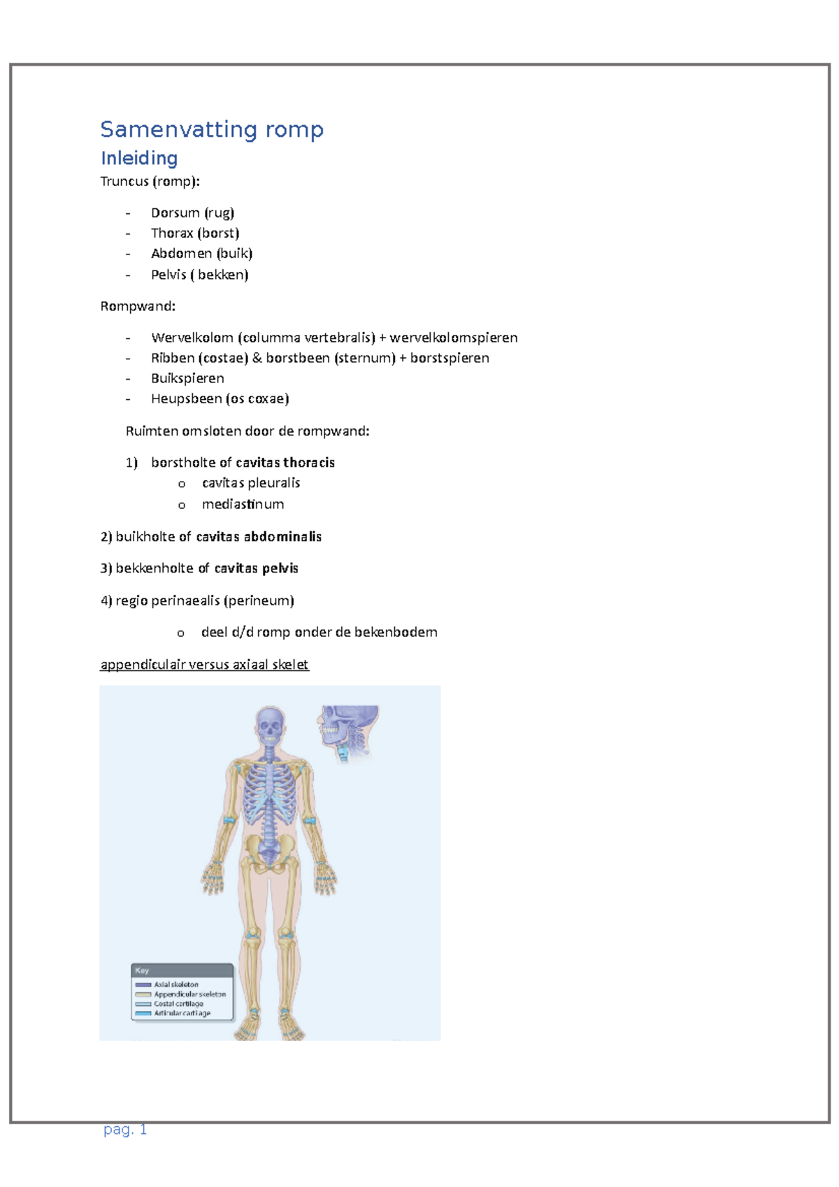 Samenvatting romp - Samenvatting romp Inleiding Truncus (romp): Dorsum ...