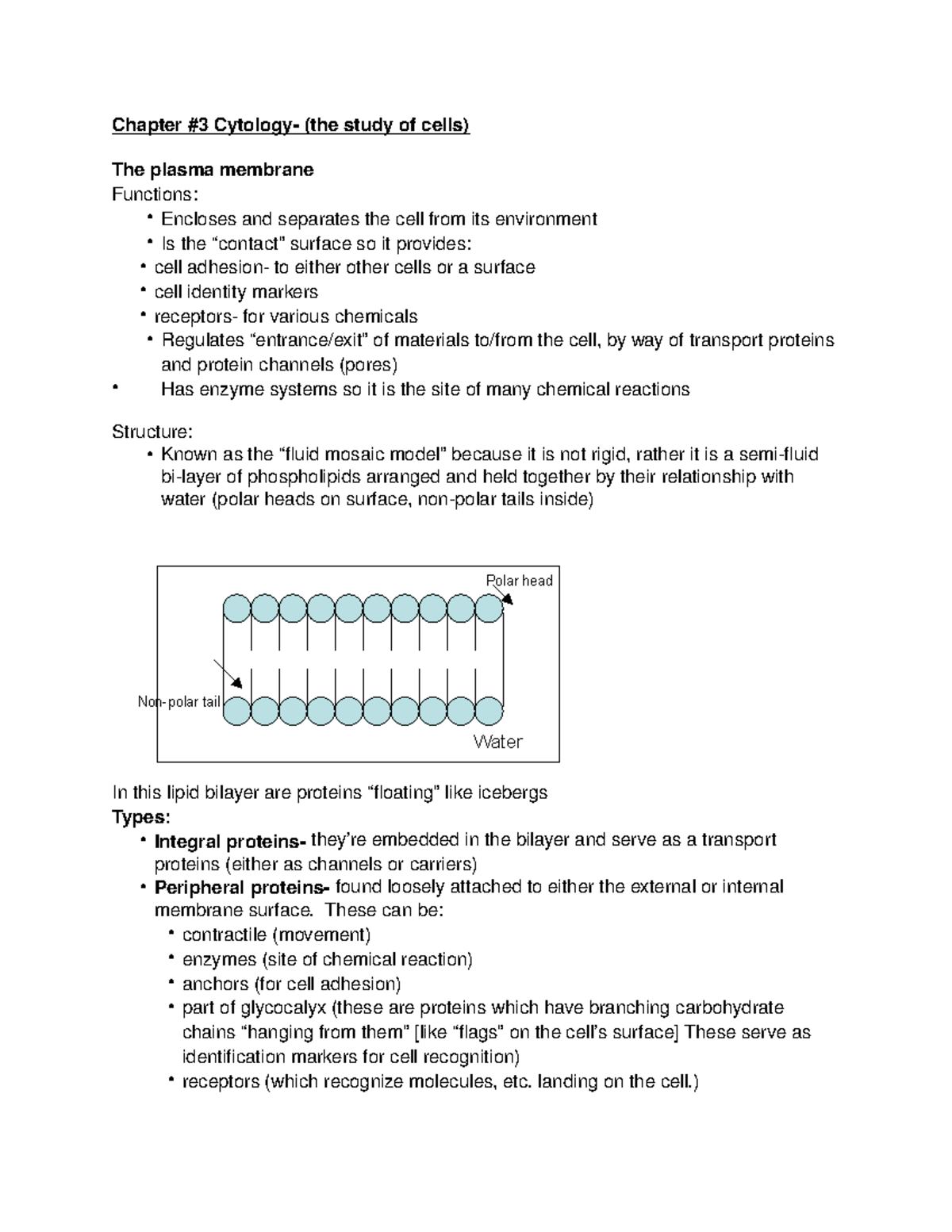 Cytology - Course was instructed by Dr. Brian Scoggins - Chapter #3 ...