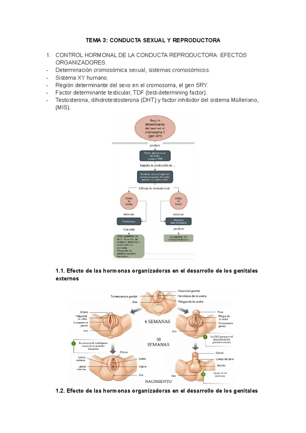 TEMA 3 Conducta Sexual Y Reproductora - TEMA 3: CONDUCTA SEXUAL Y ...