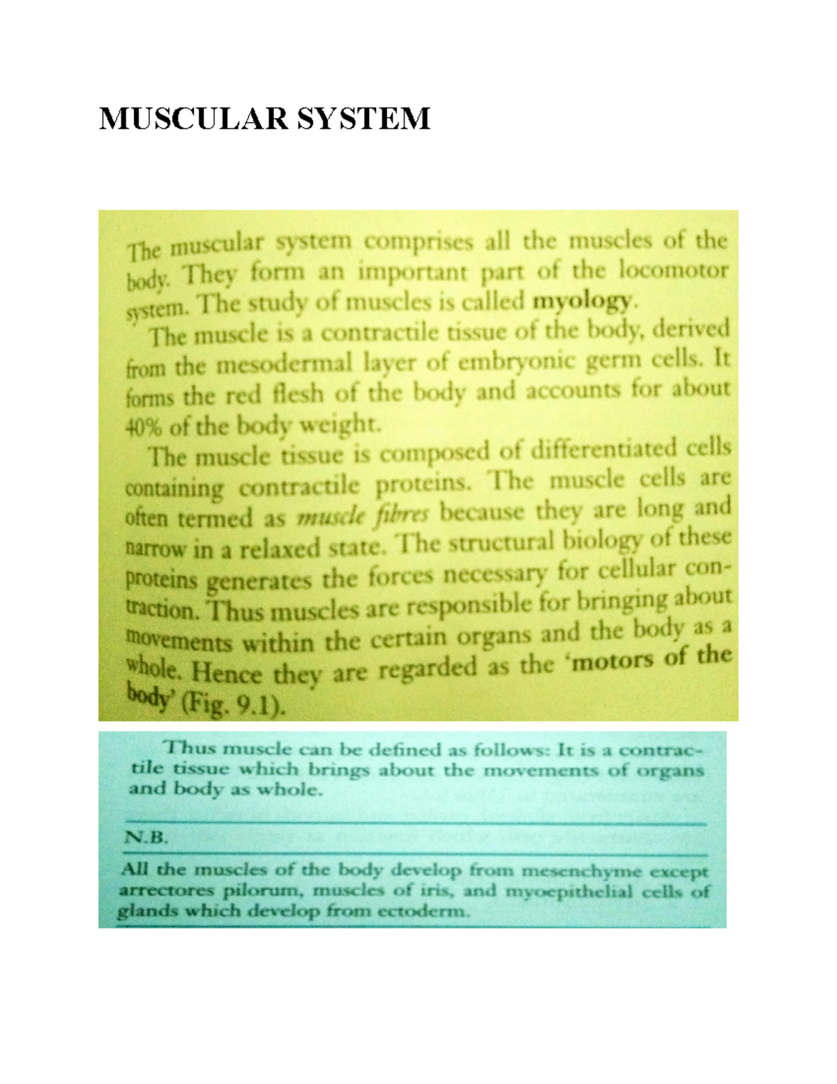 Muscle System MUSCULAR SYSTEM Types Of Muscles 1 Skeletal Muscles 2