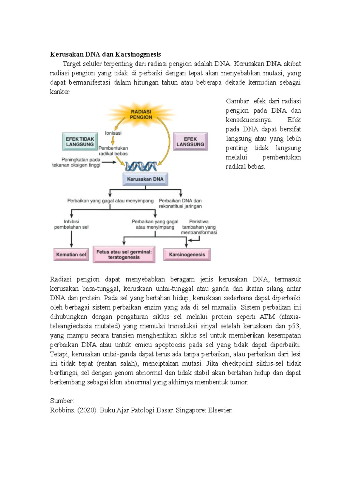 Kerusakan DNA dan Karsinogenesis - Kerusakan DNA akibat radiasi pengion yang tidak di perbaiki ...