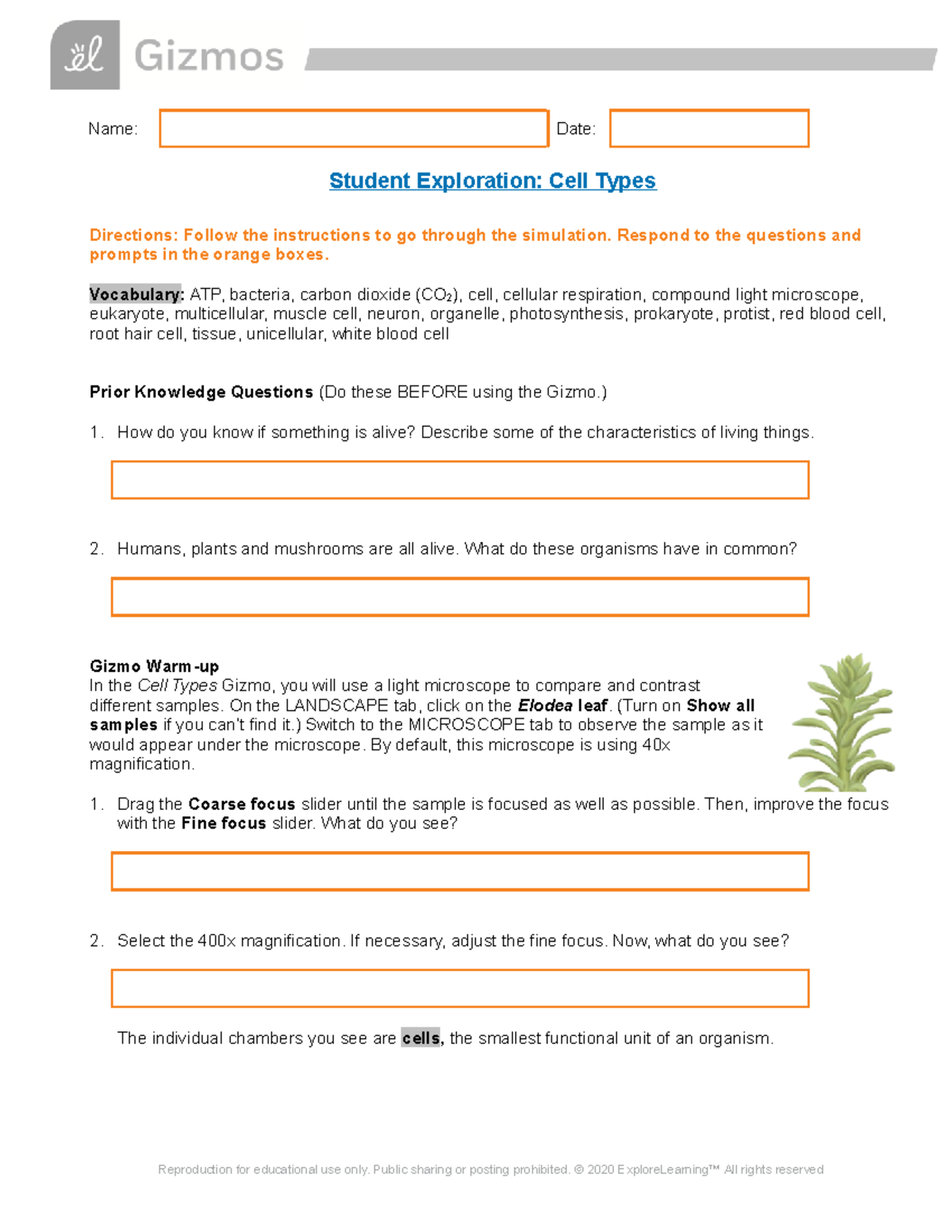Copy of Cell Types SE - The answers - Name: Date: Student Exploration ...