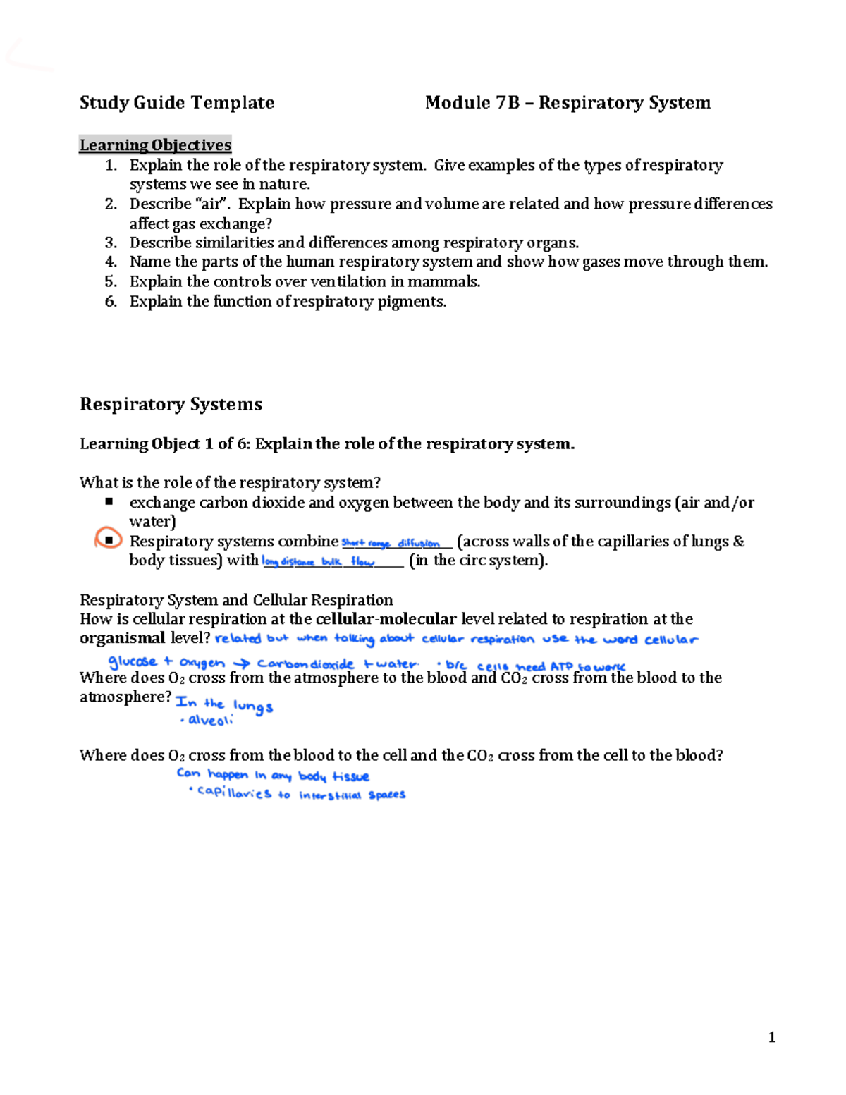 Respiratory System Notes - Study Guide Template Module 7B – Respiratory ...