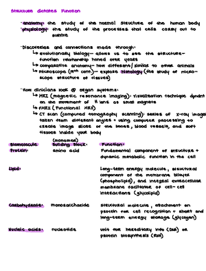 Learning Log 14 (modified) - CHEM 1022 - Evelyn Urgiles Dr. Cerkez CHEM ...