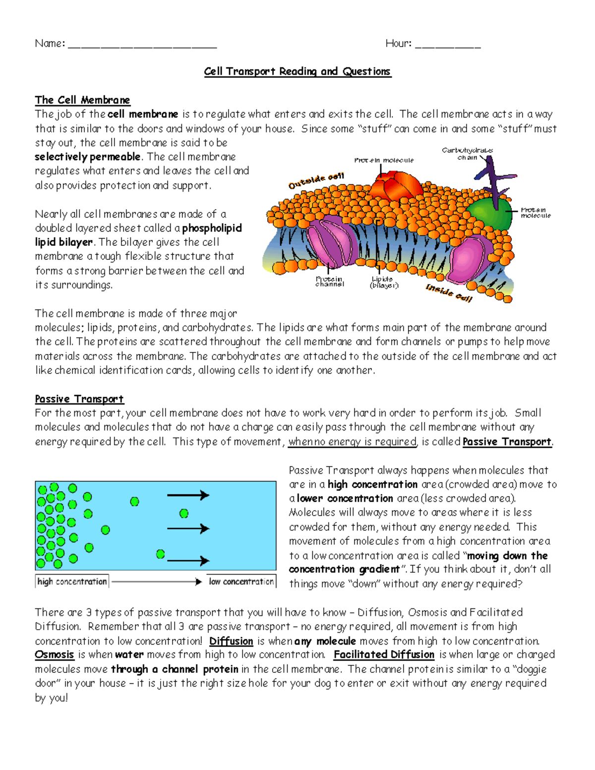 Cell transport reading and questions - Name ...