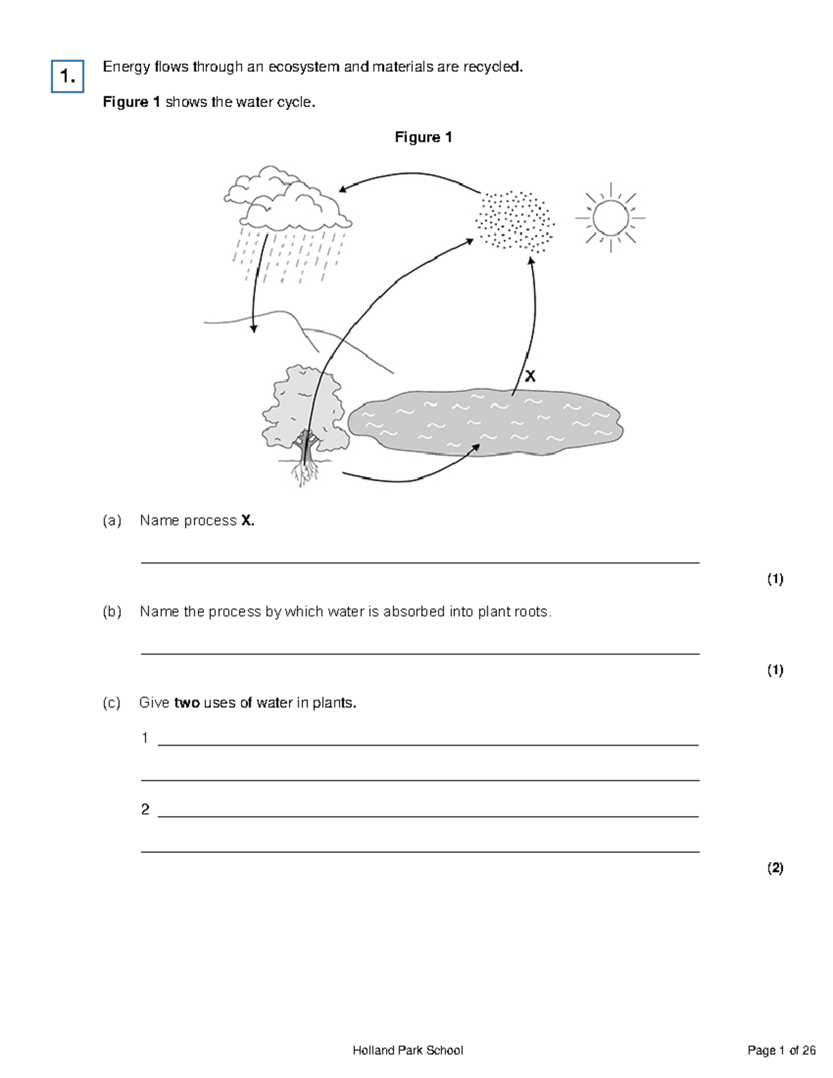 Ecology grade 9 Exam questions - Energy flows through an ecosystem and ...