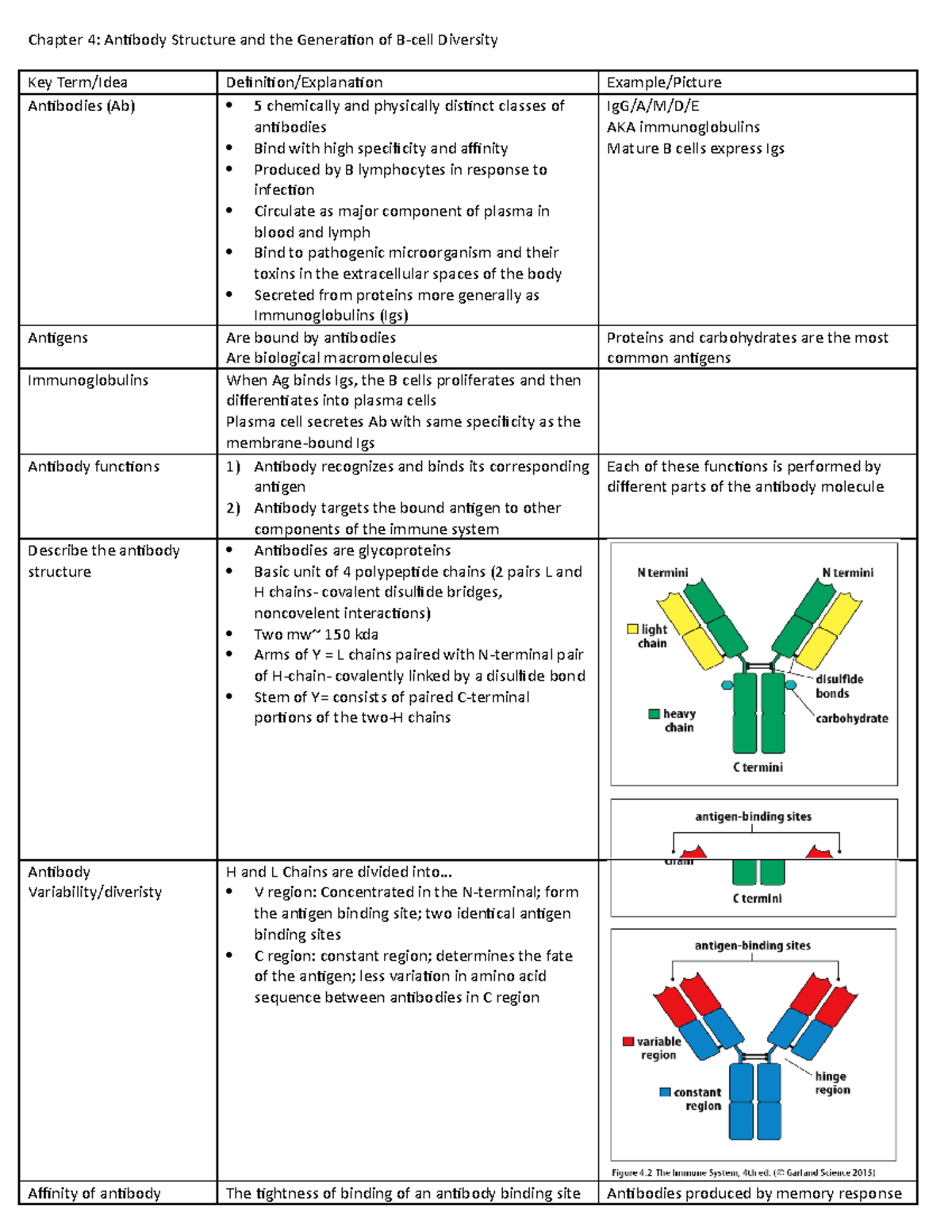 Chapter 4 - Antigens, DNA ETC - Chapter 4: Antibody Structure and the ...