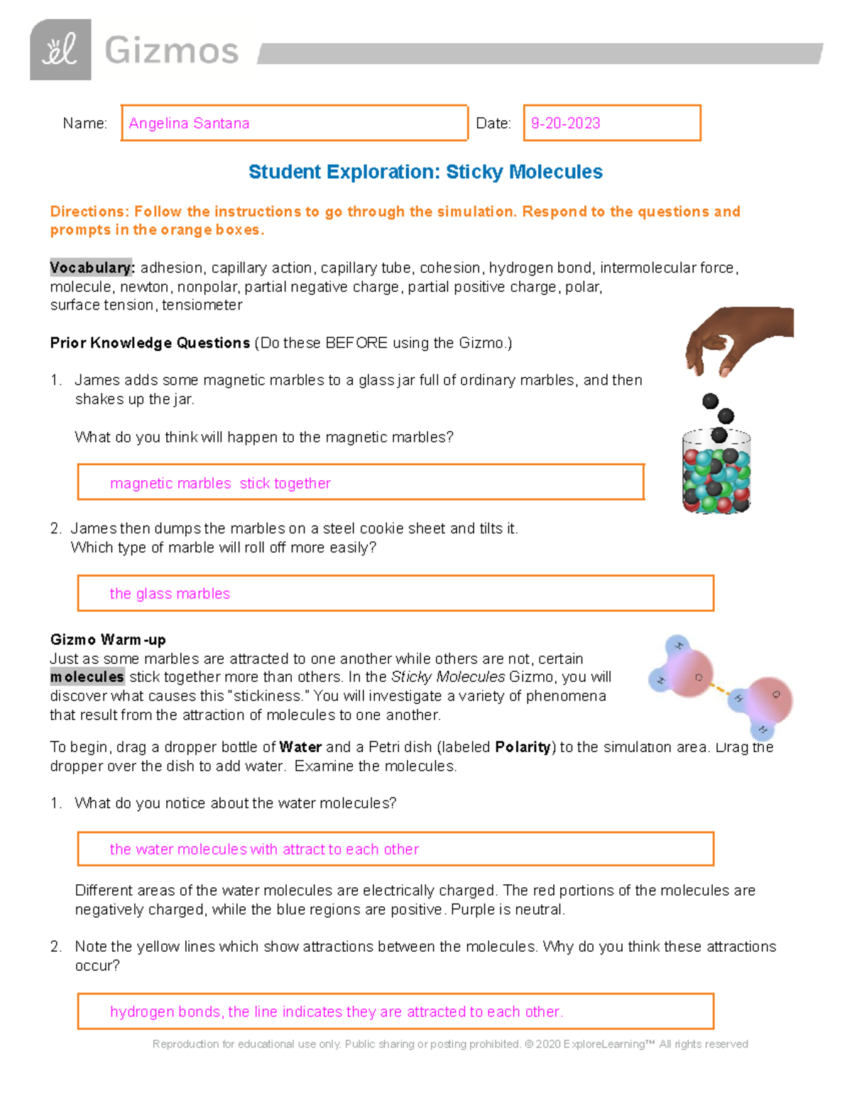 Copy of Sticky Molecules SE - Name: Angelina Santana Date: 9-20 ...