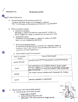 Digestive System - BIO 110 - Studocu