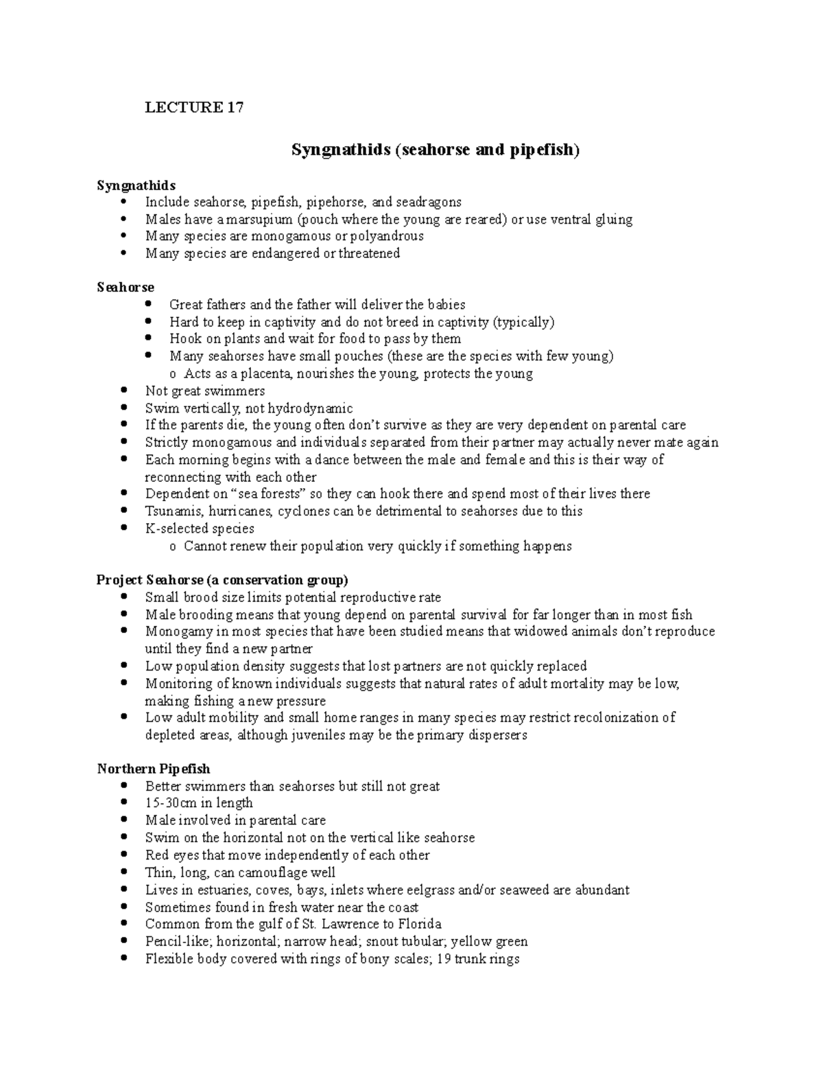 Lecture 17 - LECTURE 17 Syngnathids (seahorse and pipefish) Syngnathids ...