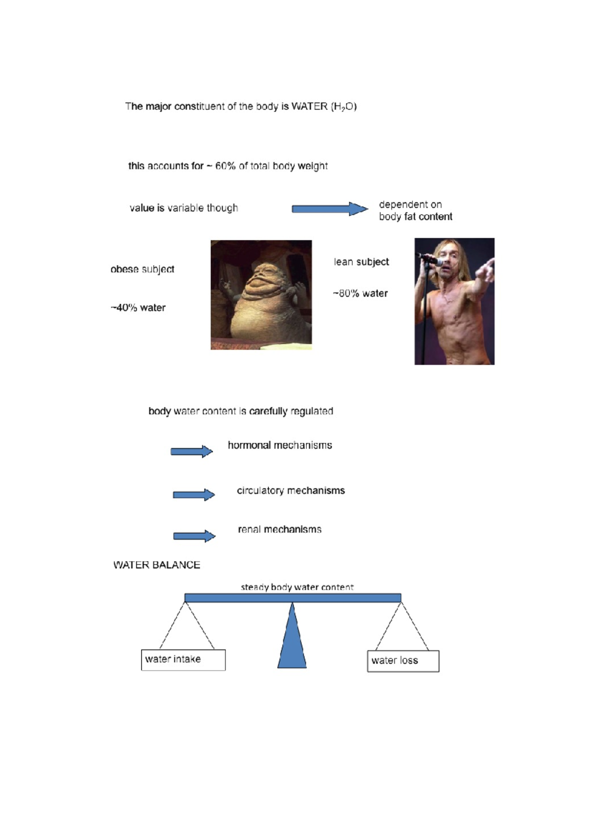 Fluids in the body - The major constituent of the body is WATER {H20 ...