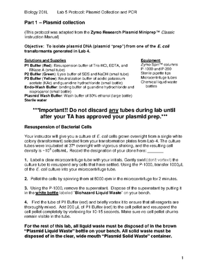 Lab 5 post lab 2-19-19 copy - Lab 5 Post-lab Name ...