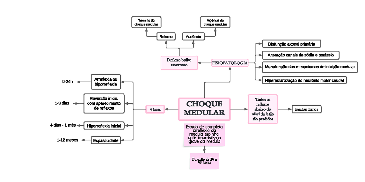 Choque medular mapa mental - CH O QU E M ED U LA R Todos os reflexos ...