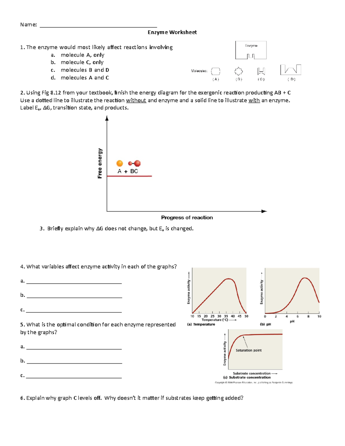 Enzyme Worksheet - Name: ______________________________________ Enzyme ...