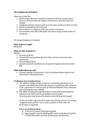 The nucleus notes cell biology - The nucleus What is the nucleus? 1. A ...