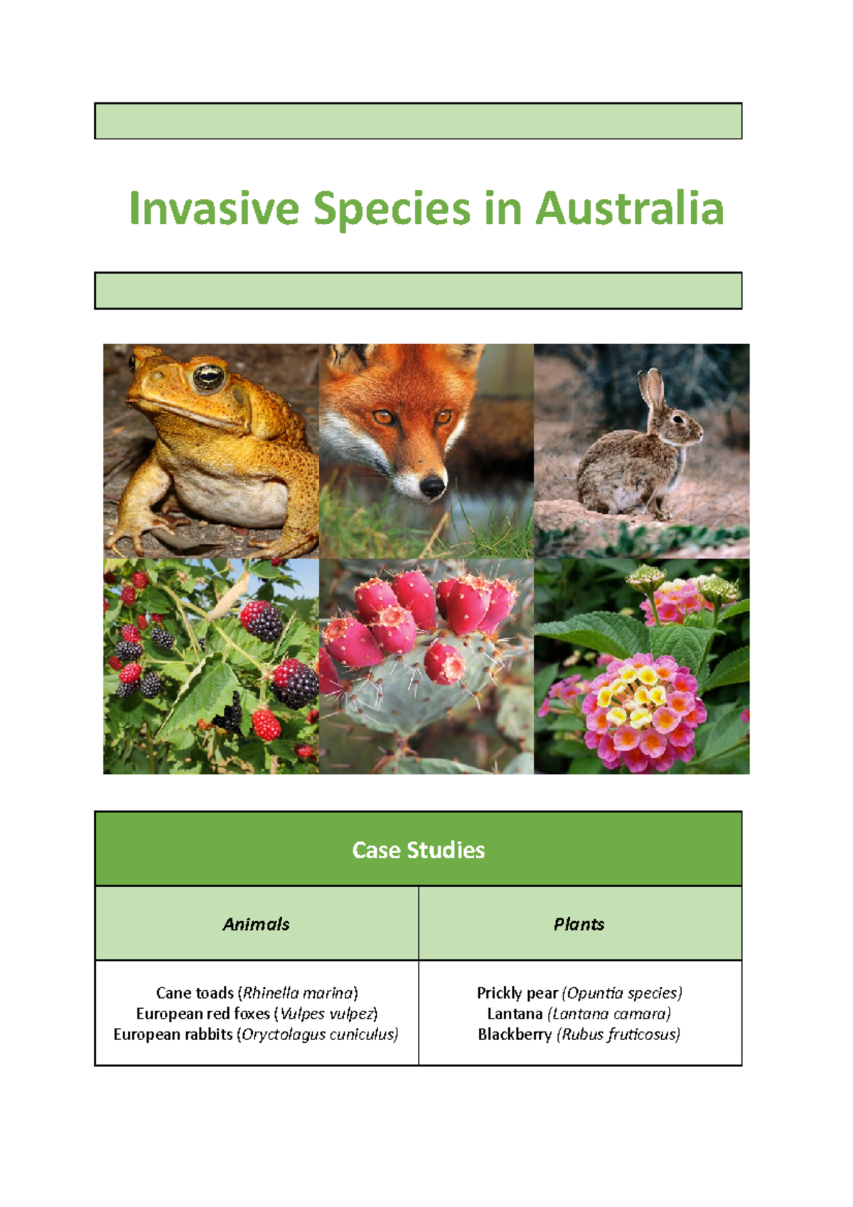 Yr 10 Invasive Species - Invasive Species in Australia Case Studies ...