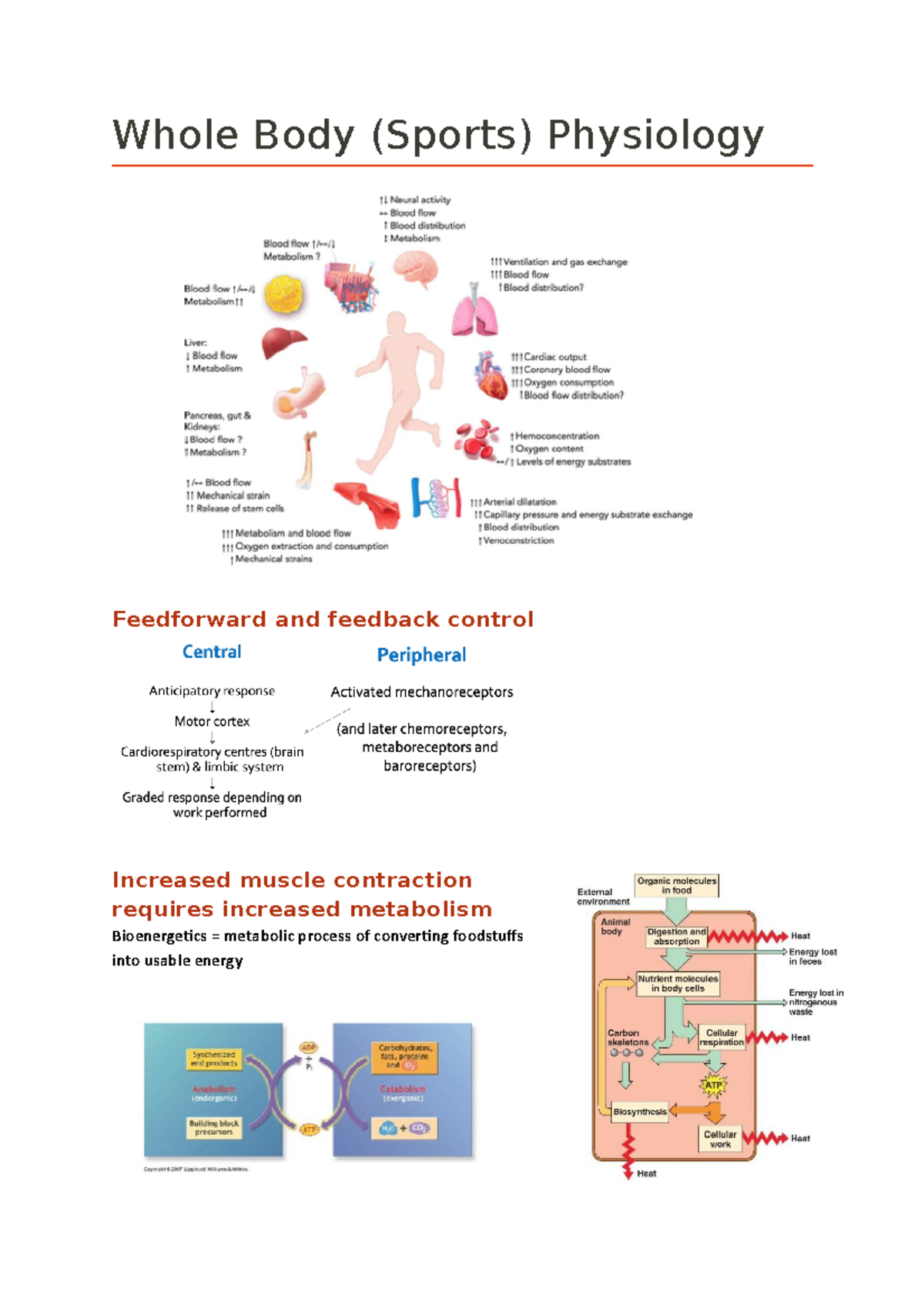 Whole Body Sports Physiology Notes - Whole Body (Sports) Physiology ...