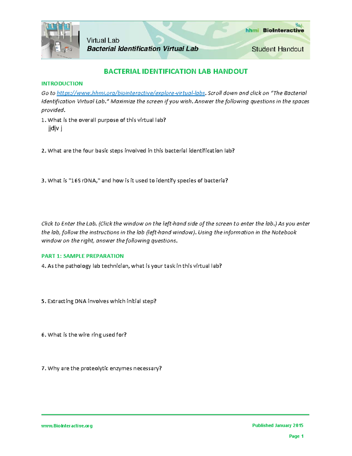 Bacterial Identification Lab Worksheet Student BioInteractive