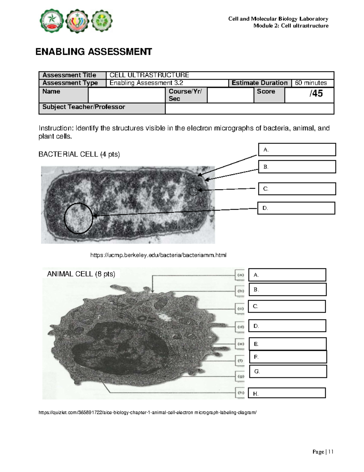 Worksheet 2 - Cell Ultrastructures - Module 2 : Cell ultrastructure ...