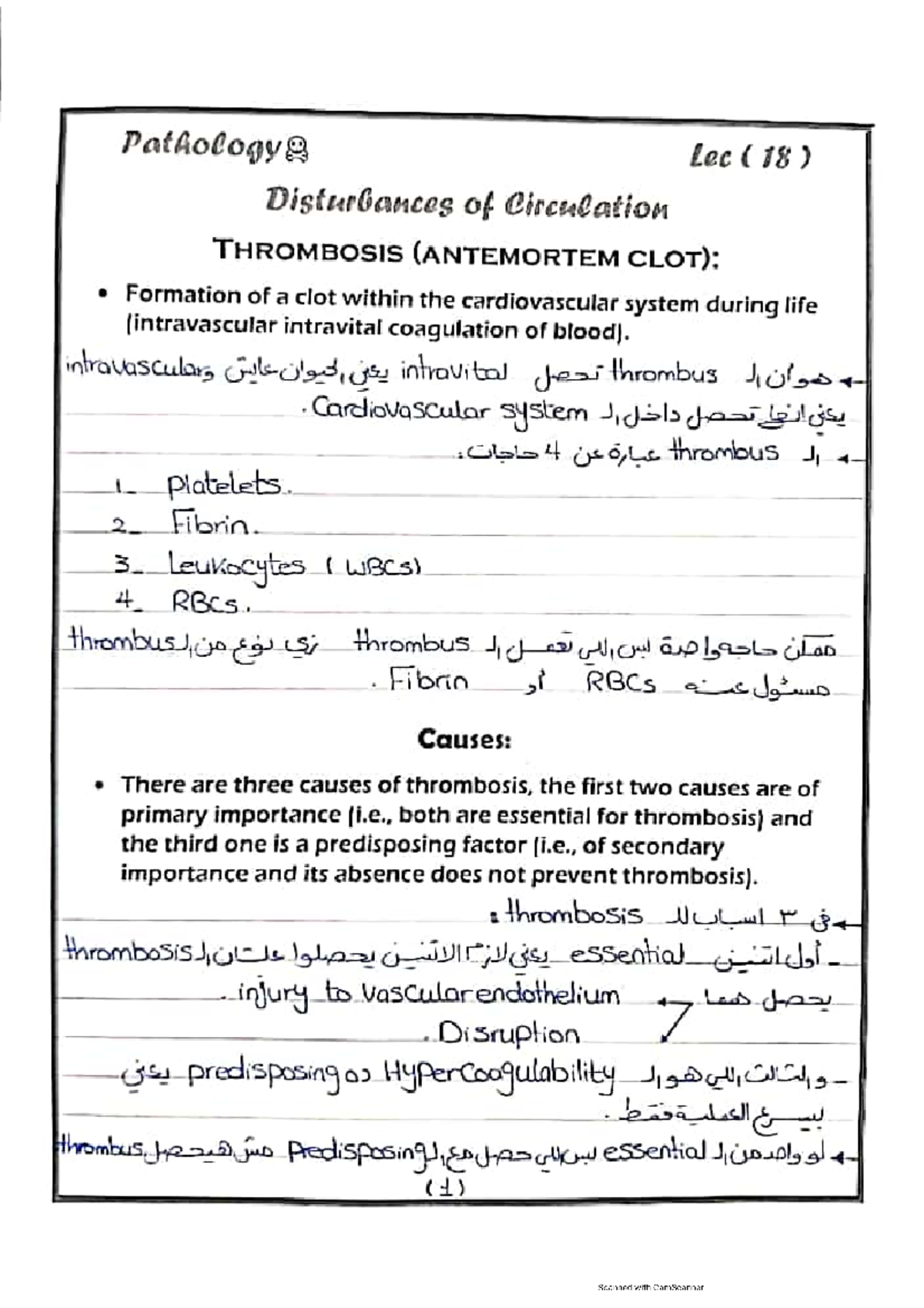 Lec 18 Patho Source Pathology Studocu