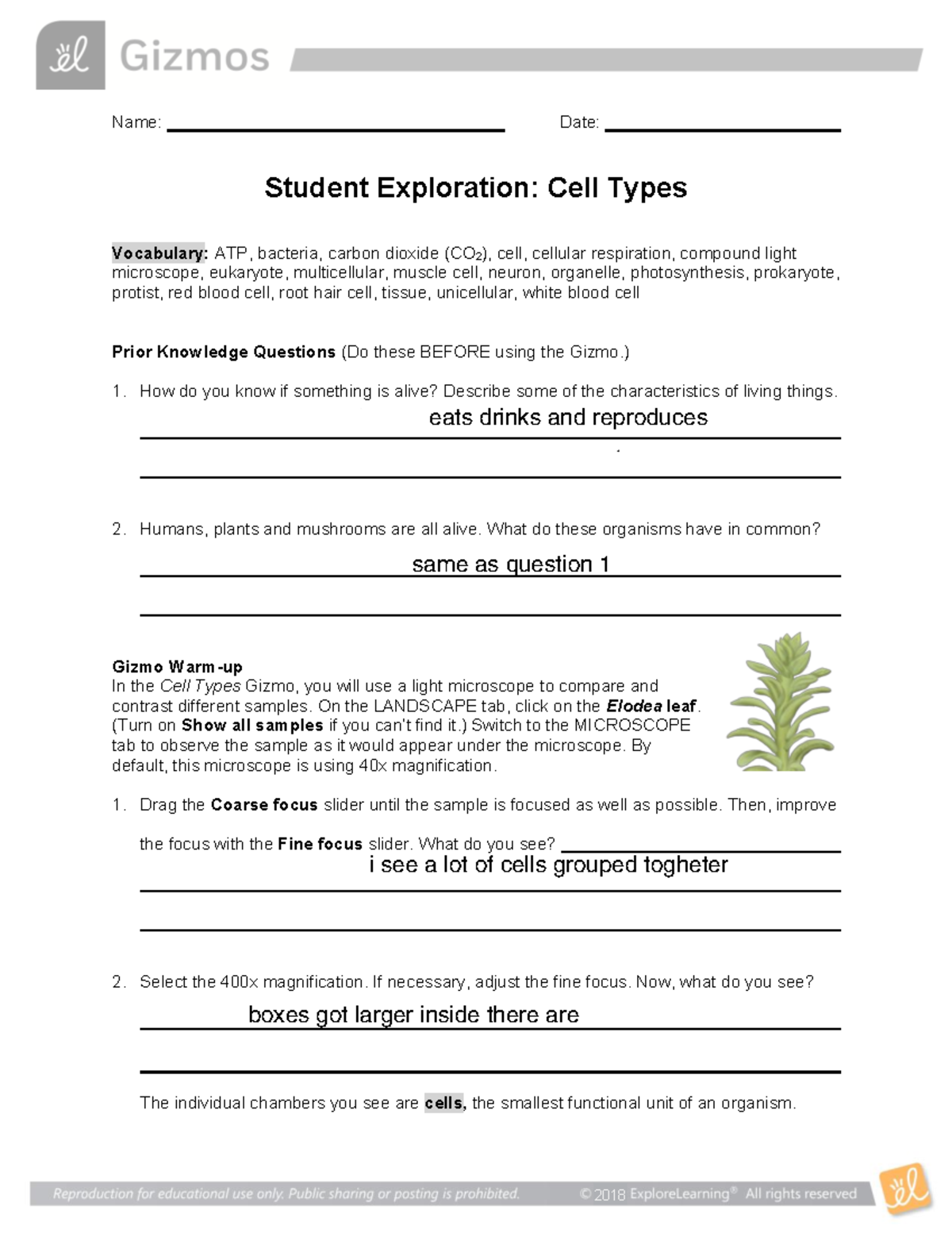 Ja'Shon Cunningham - Cell Types SE - Name: Date: Student Exploration ...