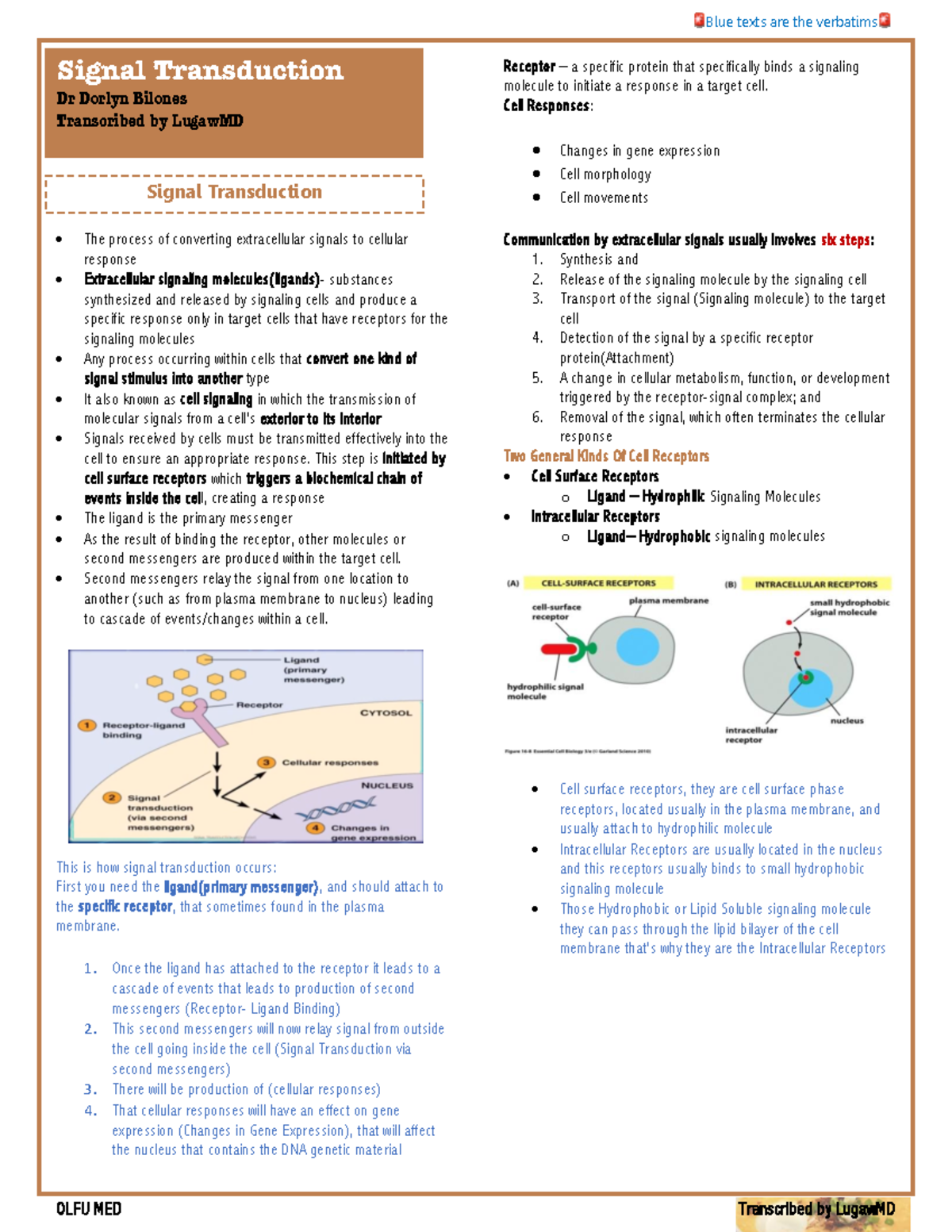 Signal Transduction - The process of converting extracellular signals ...