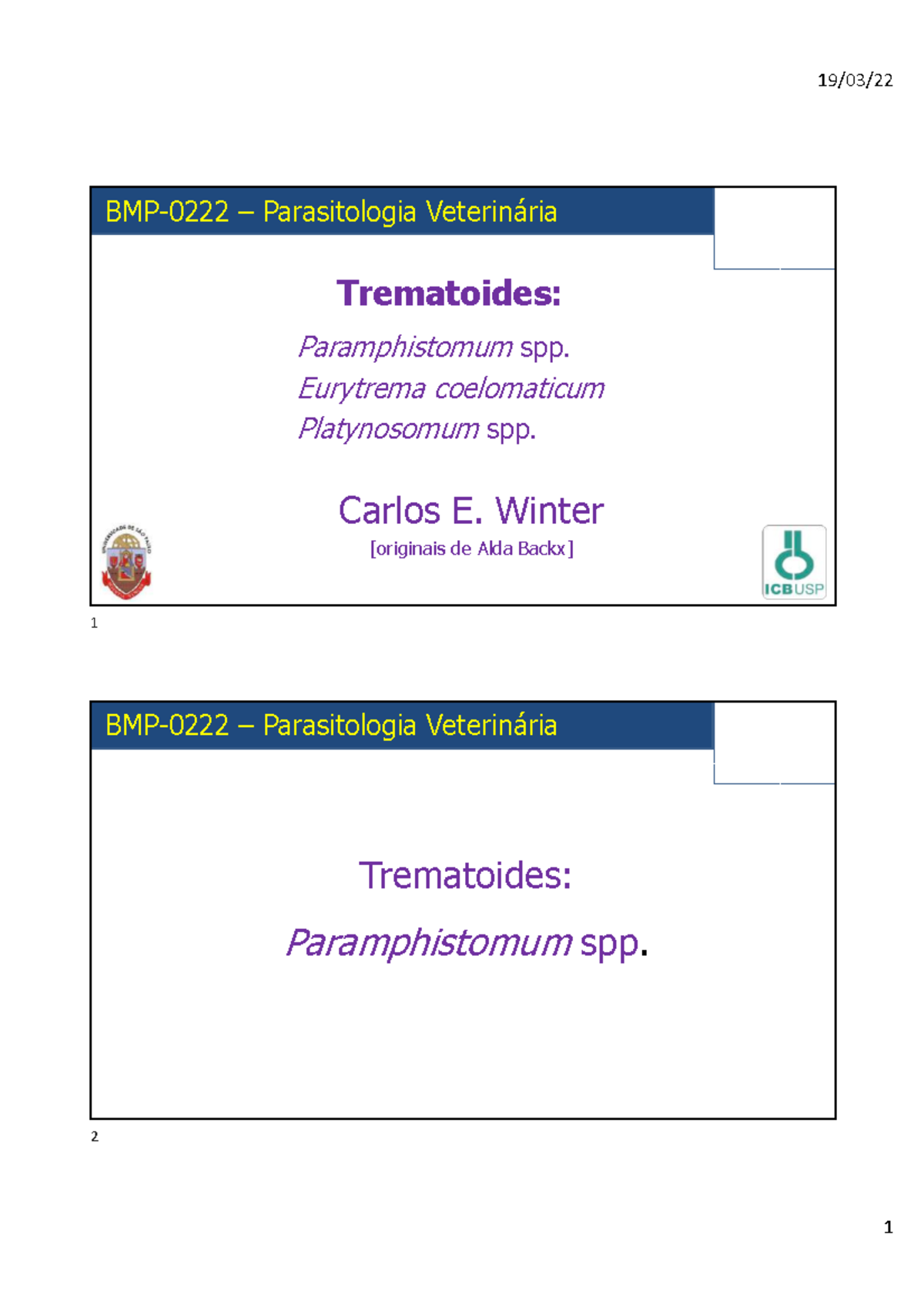 Paramphistomum - material elaborado para estudo e preparo da matéria de ...