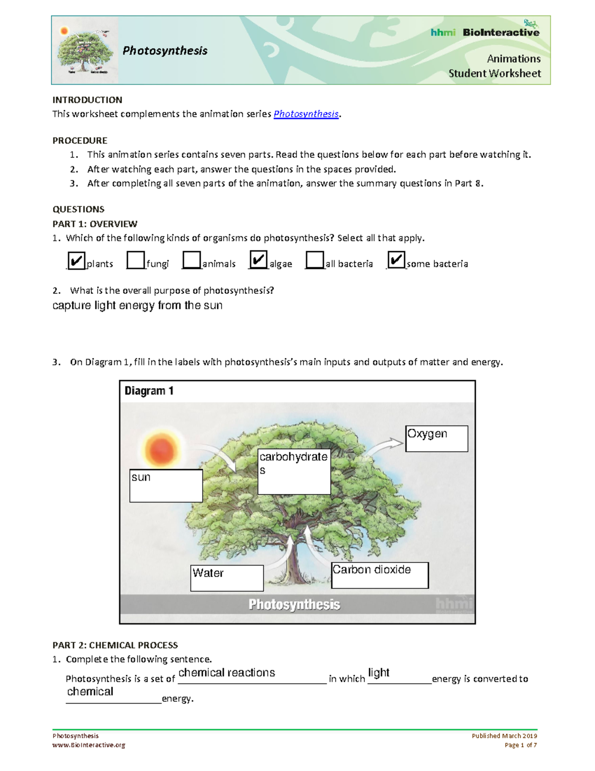 Photosynthesis-Student WS-animation A - Photosynthesis Published March ...