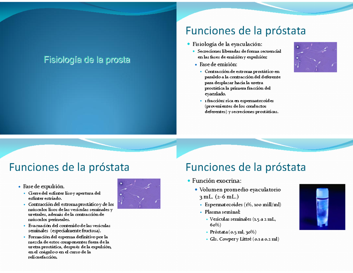Fisiología de la próstata - Fisiología de la prosta Funciones de la ...