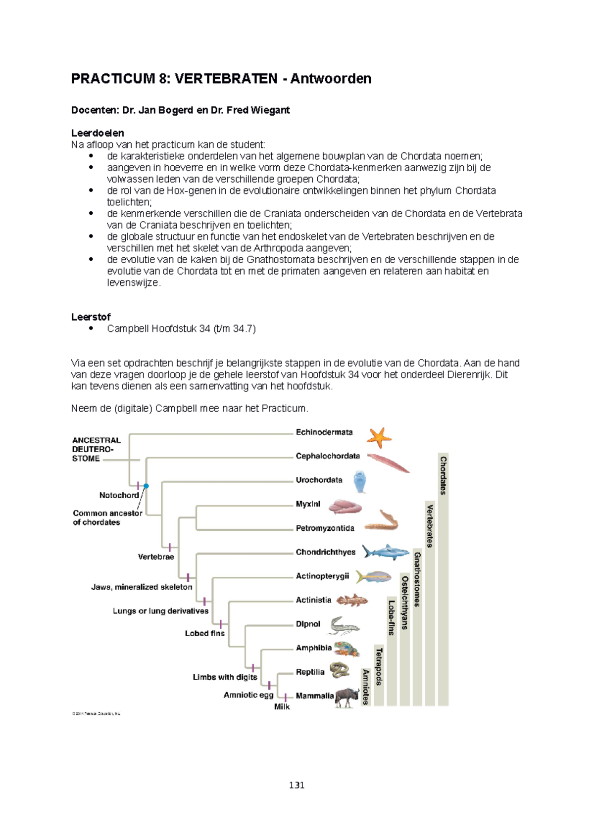 2020 - Vertebraten - Antwoorden - PRACTICUM 8: VERTEBRATEN - Antwoorden ...