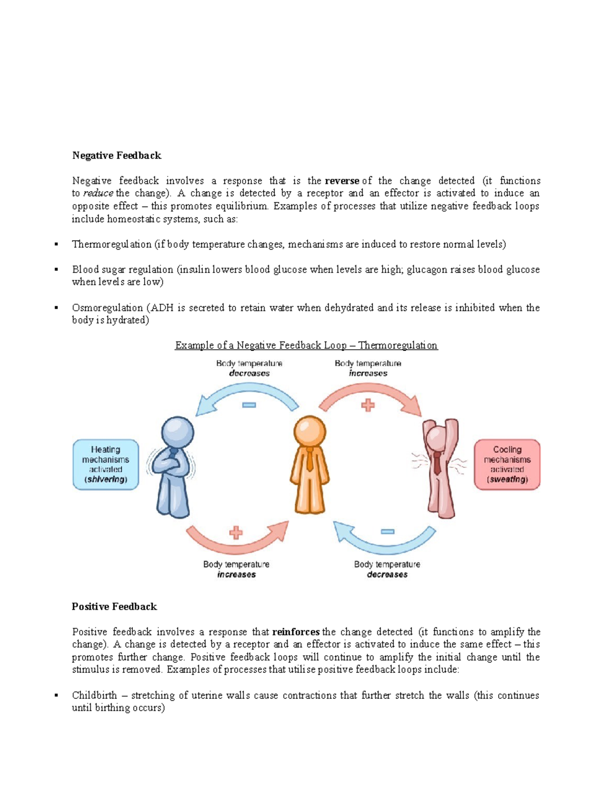 Endocrine System - Notes - Negative Feedback Negative feedback involves ...