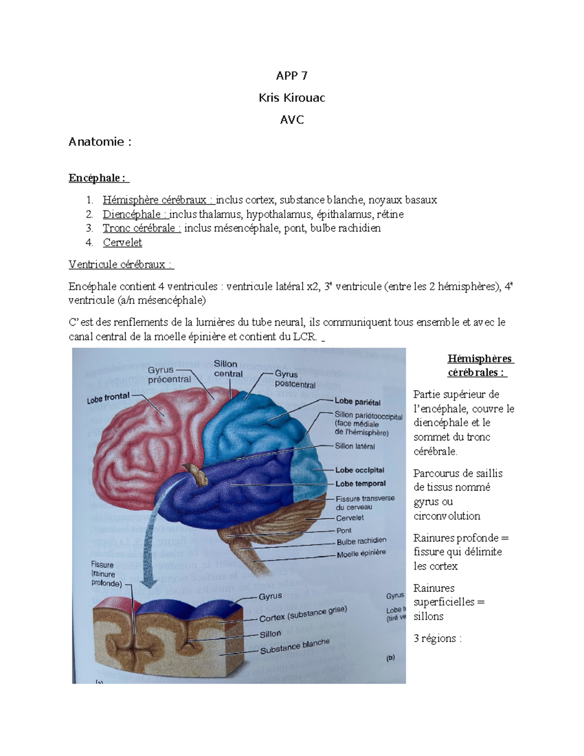 App7 - AVC - Sur AVC et système neurologique - APP 7 Kris Kirouac AVC ...