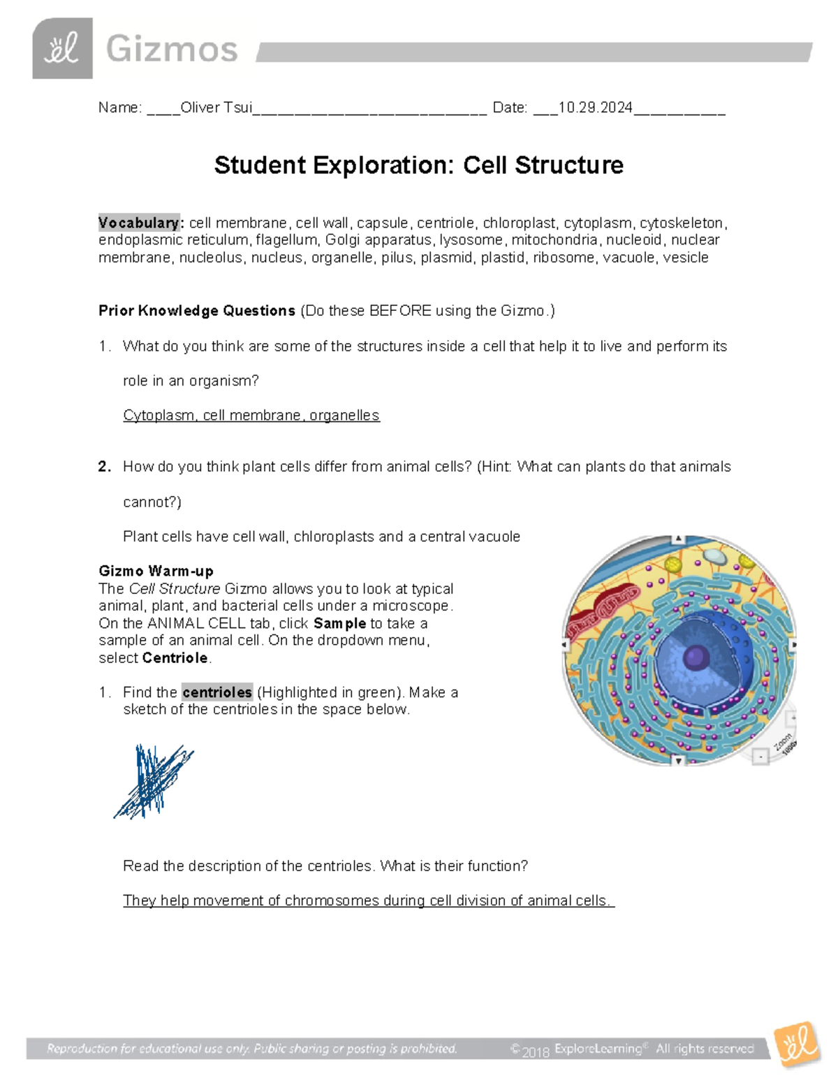 Cell Structure SE - Answers for the document - Name: Oliver Tsui ...