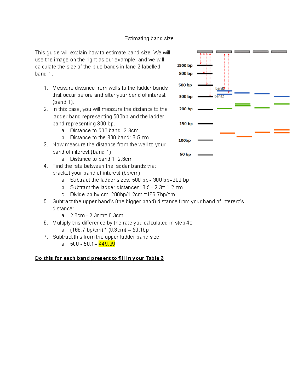 Estimating band size - Estimating band size This guide will explain how ...