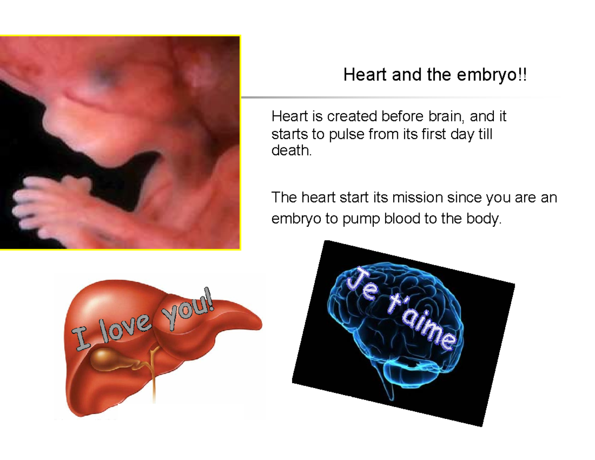 Cardiac Lecture 1 - Heart and the embryo!! Heart is created before ...