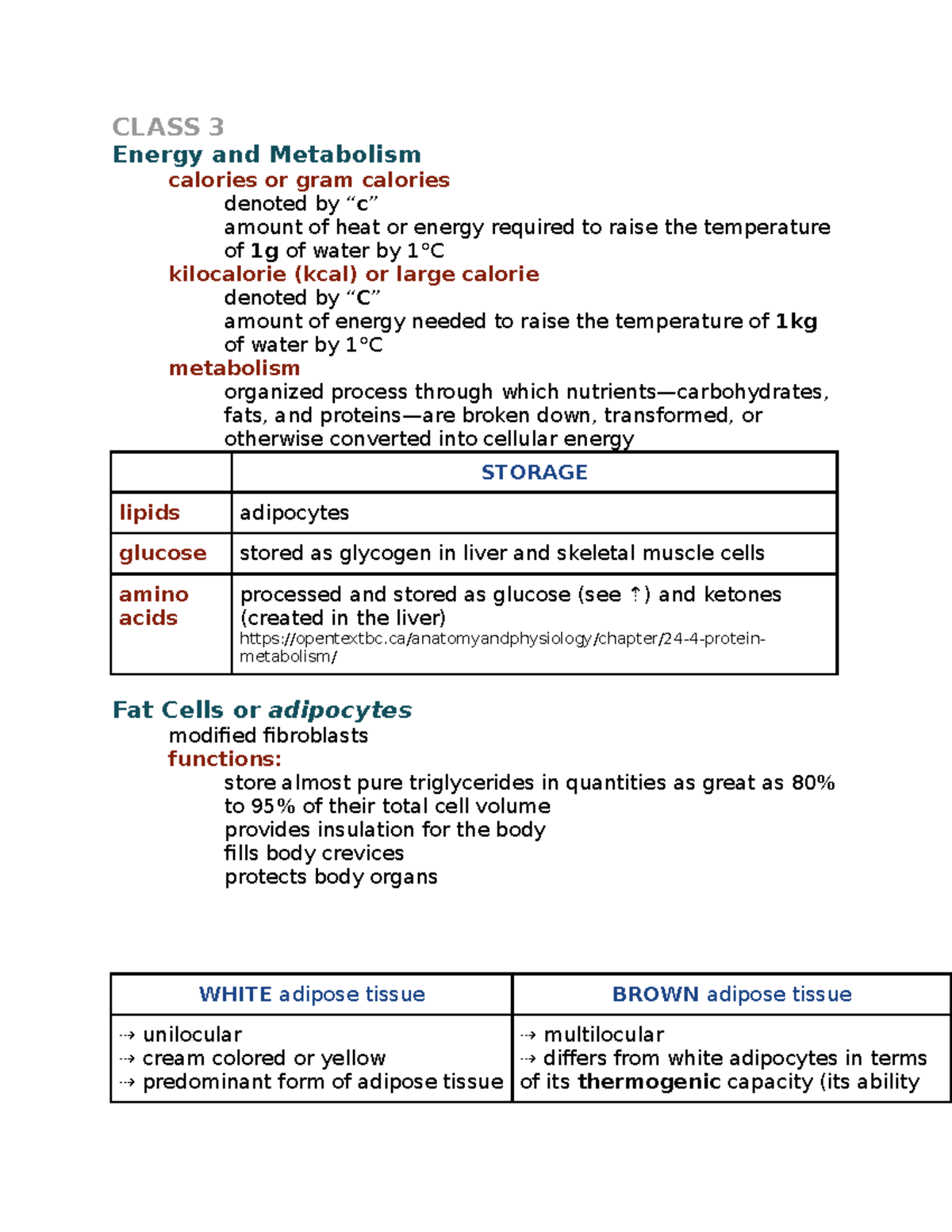 Mod 7 class 3 - module 7 notes - CLASS 3 Energy and Metabolism calories ...