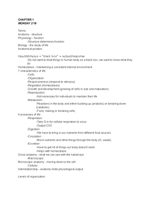 Chapter 14 Part 1 - The Brain and Cranial Nerves - ANATOMY & PHYSIOLOGY ...